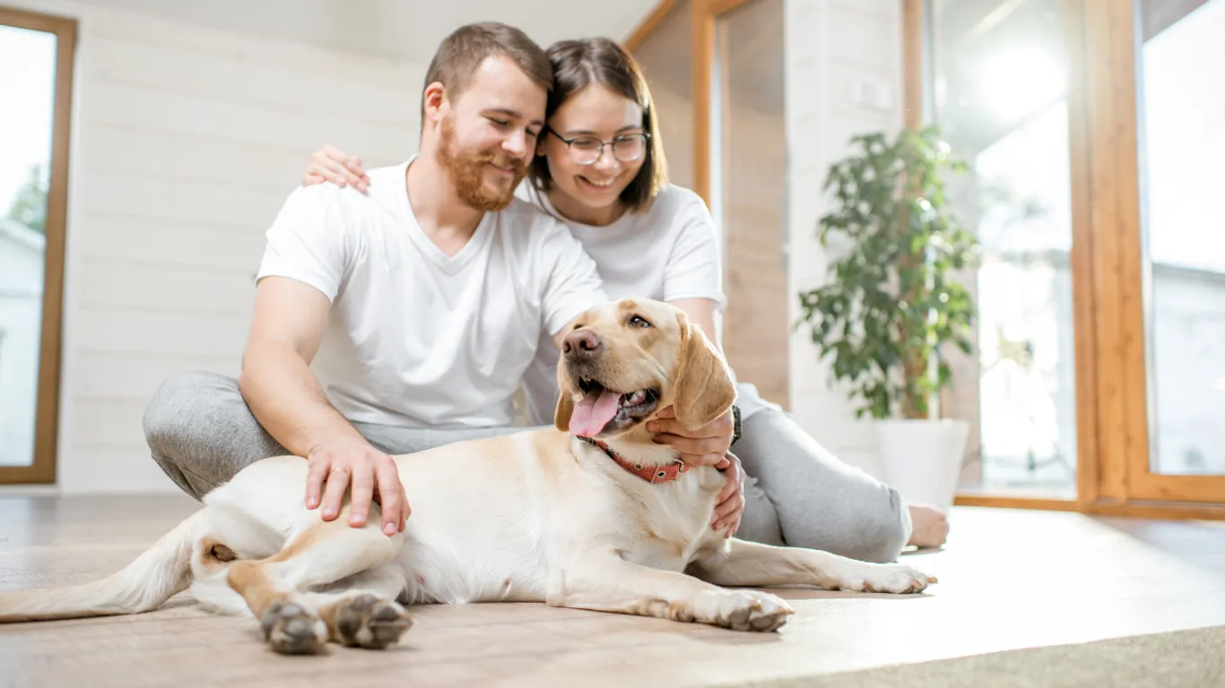 Stamp Duty Refund: How to Claim Back Stamp Duty in the UK