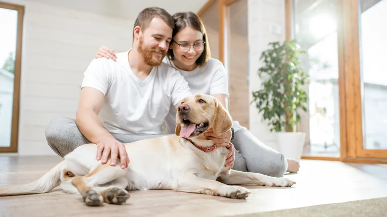 Stamp Duty Refund: How to Claim Back Stamp Duty in the UK