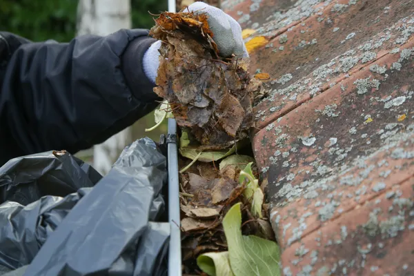 House Maintenance Tips & Checklist: A Seasonal Guide